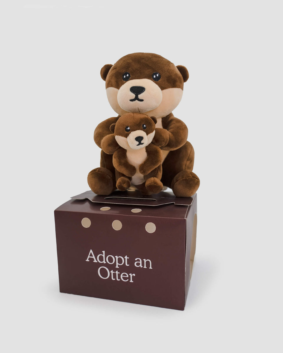 Olive The Otter Plushie | Otter Legend Plushie – Follow Your Legend