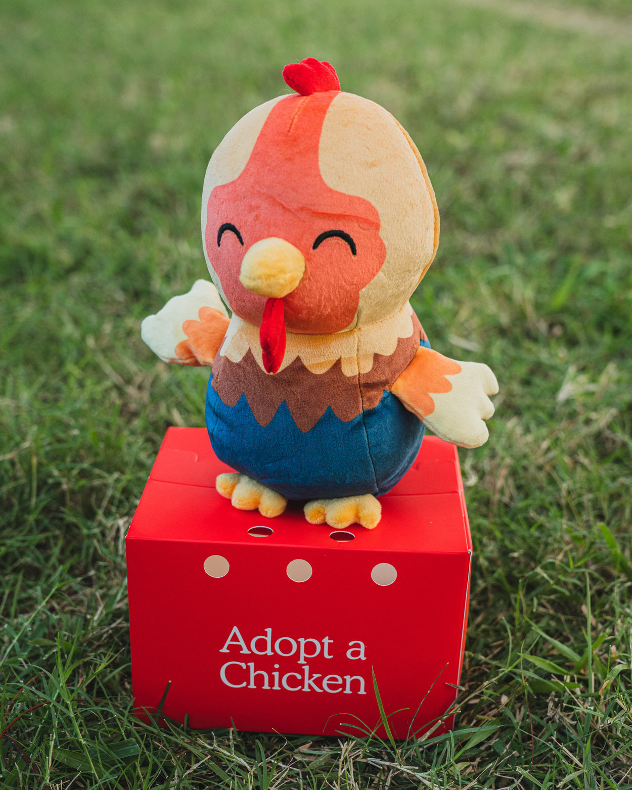 Chicken plush store