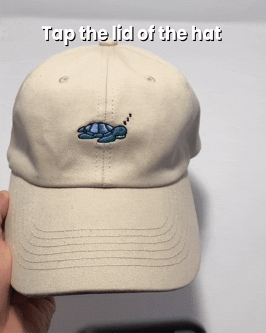 how to get turtle hat